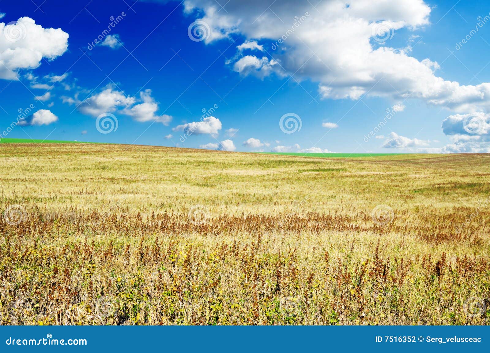 Autumn field stock photo. Image of clouds, farm, heavens - 7516352