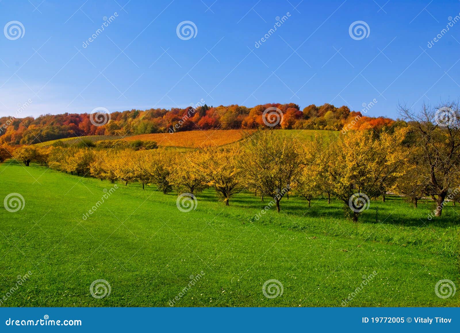 Autumn Field Scenery stock image. Image of countryside - 19772005