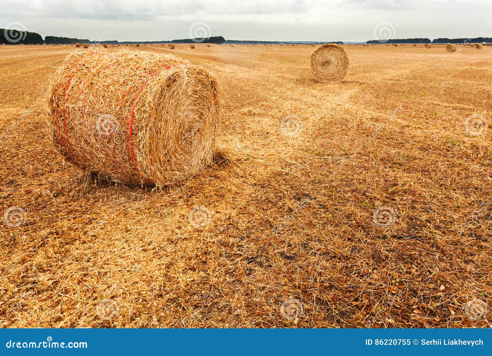 Autumn Field with Sheaves of Hay and Dramatic Sky. Stock Image - Image ...