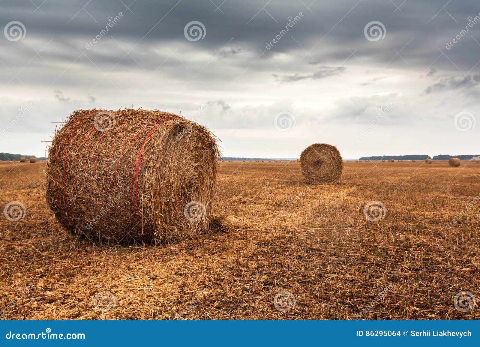 Autumn Field with Sheaves of Hay and Dramatic Sky. Stock Photo - Image ...