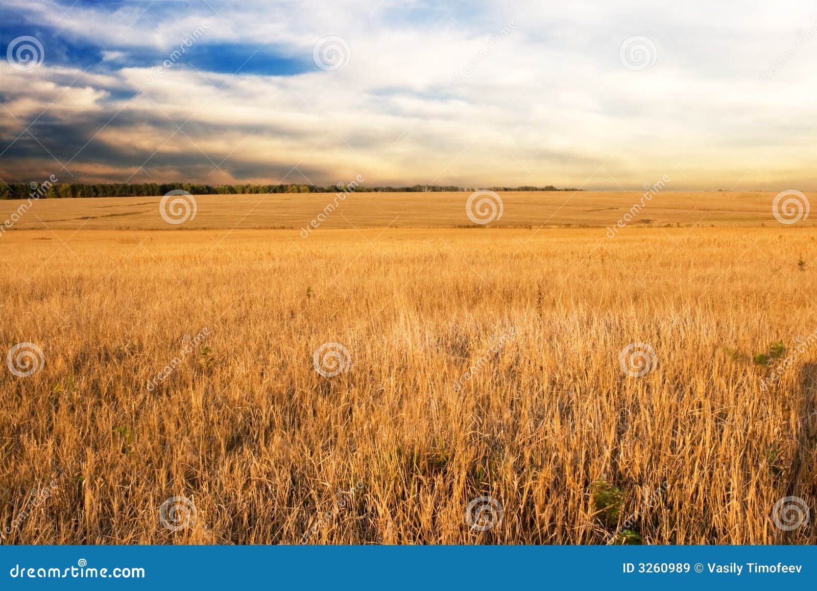 Autumn field and sunset stock image. Image of autumn, sunlight - 3260989