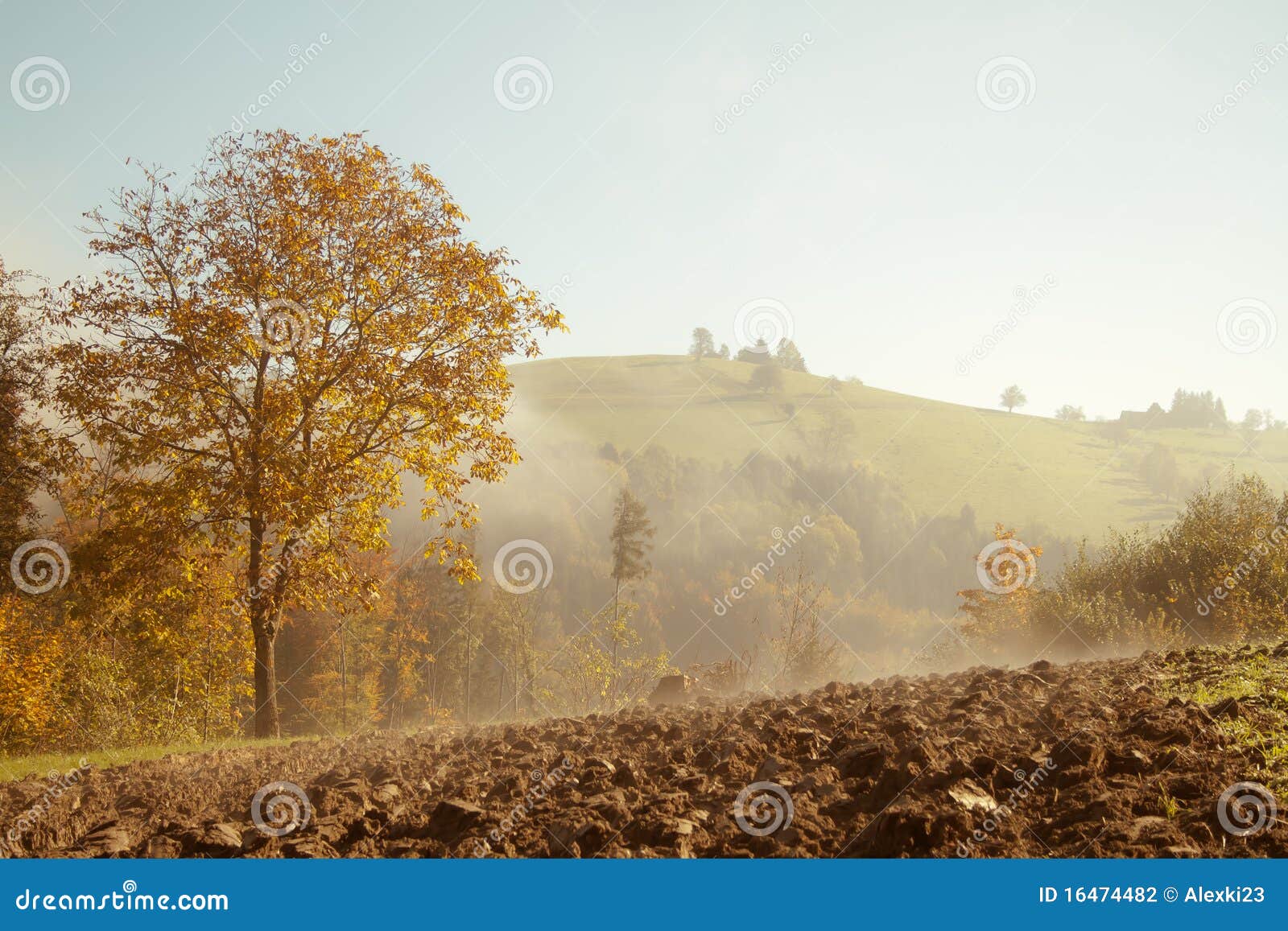 Autumn fields stock photo. Image of colored, rural, gold - 16474482