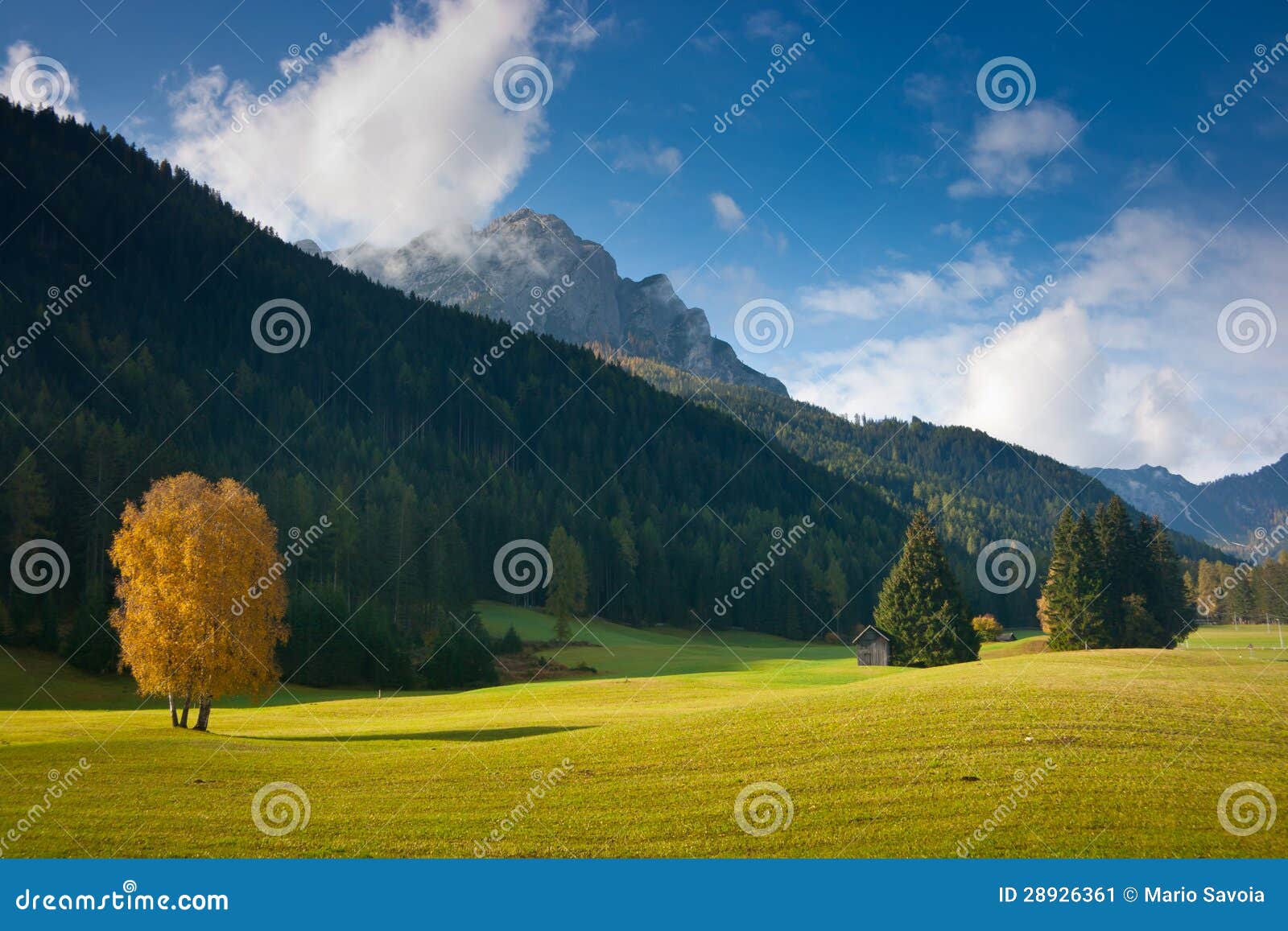 Autumn fields stock image. Image of environment, landscape - 28926361