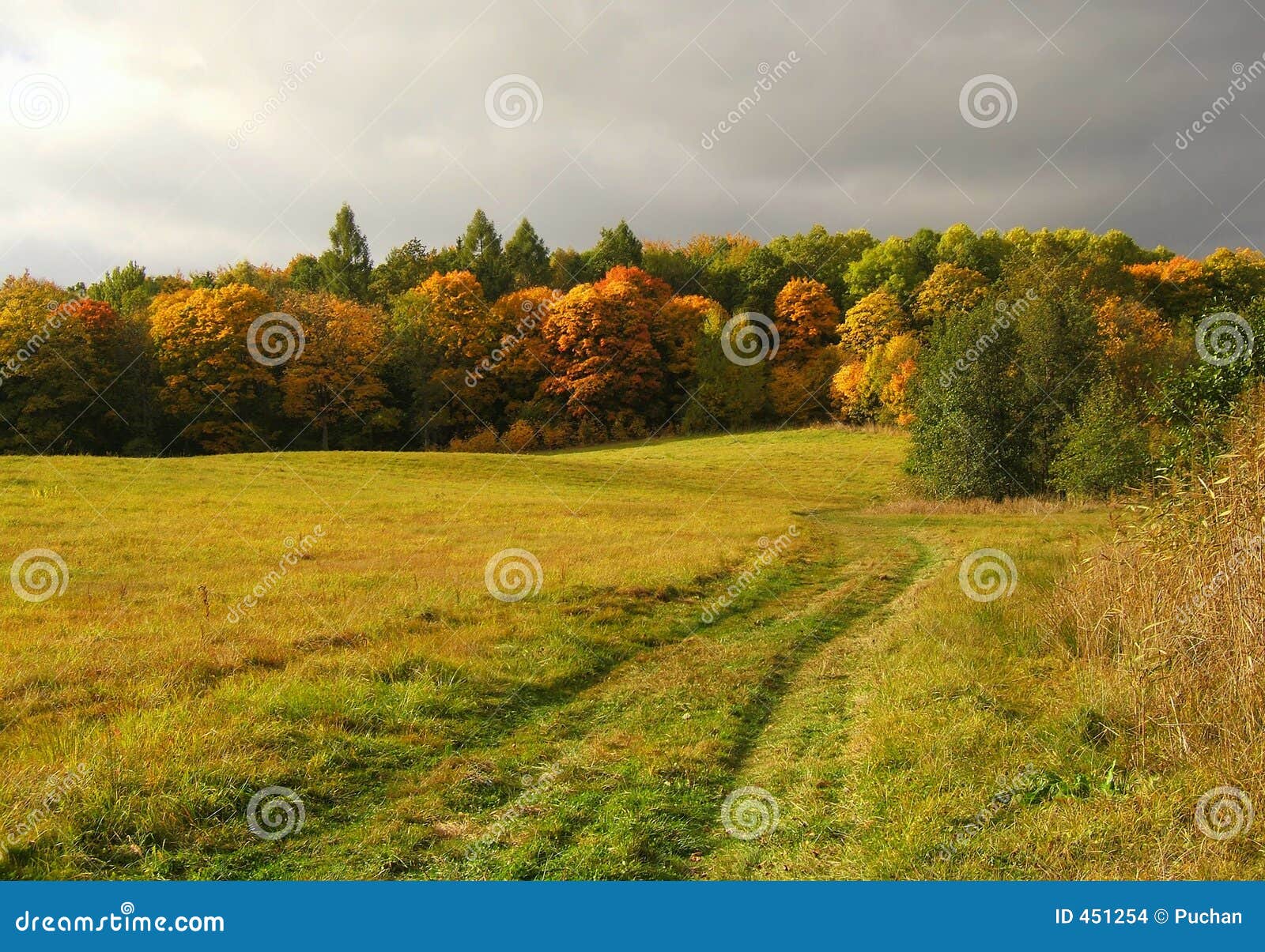 Autumn fields stock photo. Image of season, leafs, travel - 451254