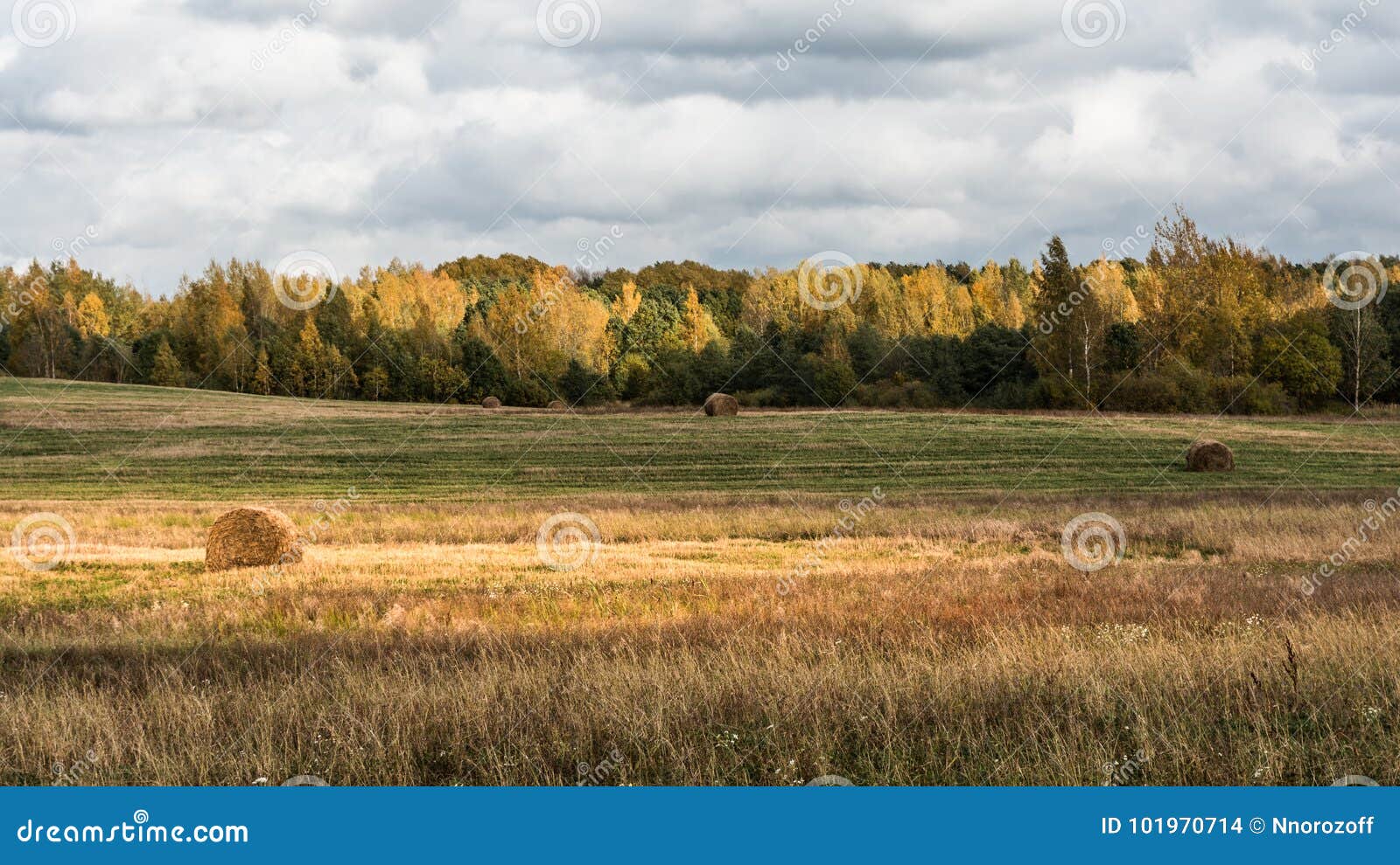 Autumn Fields and Forests of Belarus during Sunset Stock Photo - Image ...
