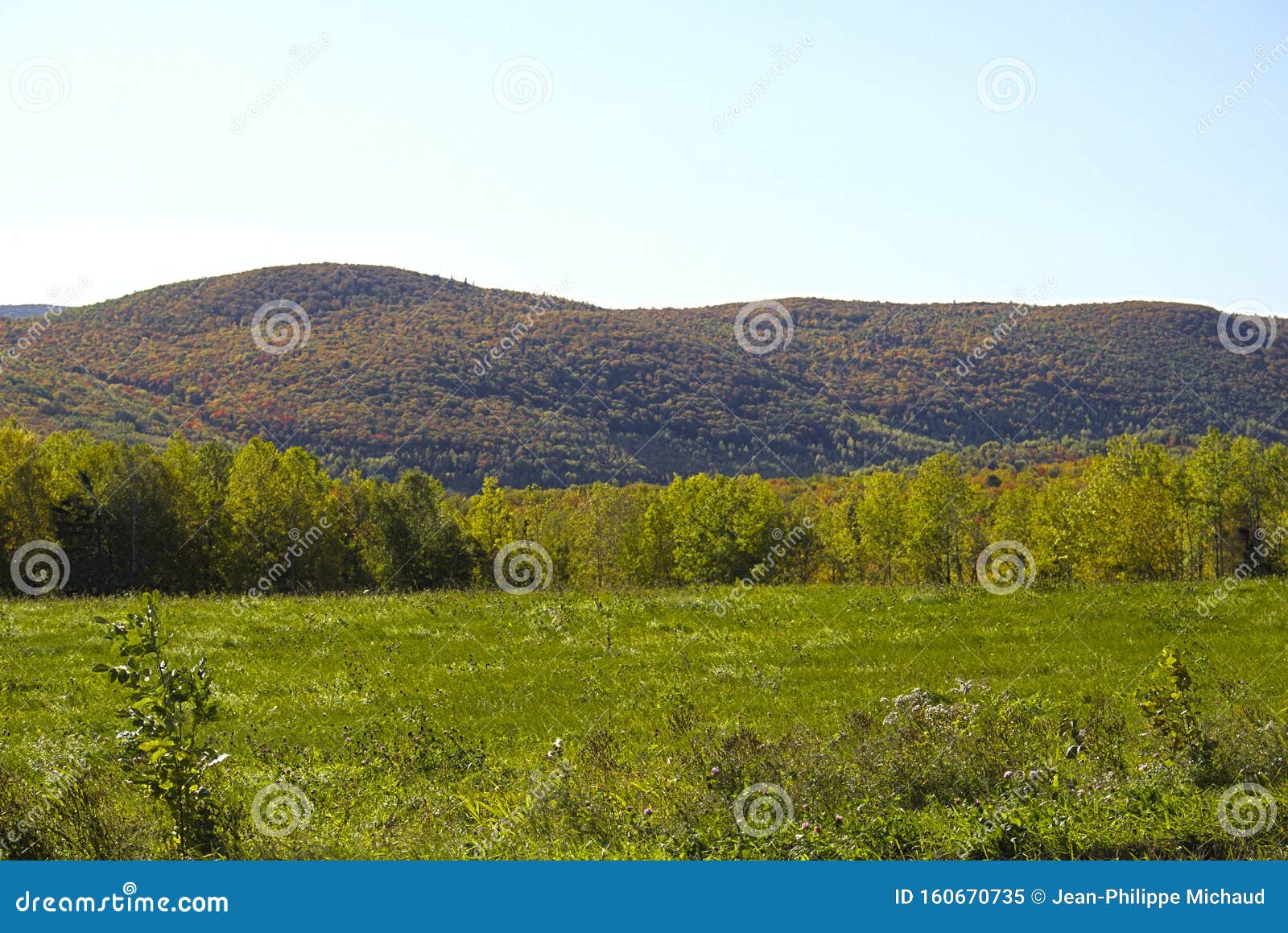 An Autumn Fields between the Mountains Stock Image - Image of forest ...
