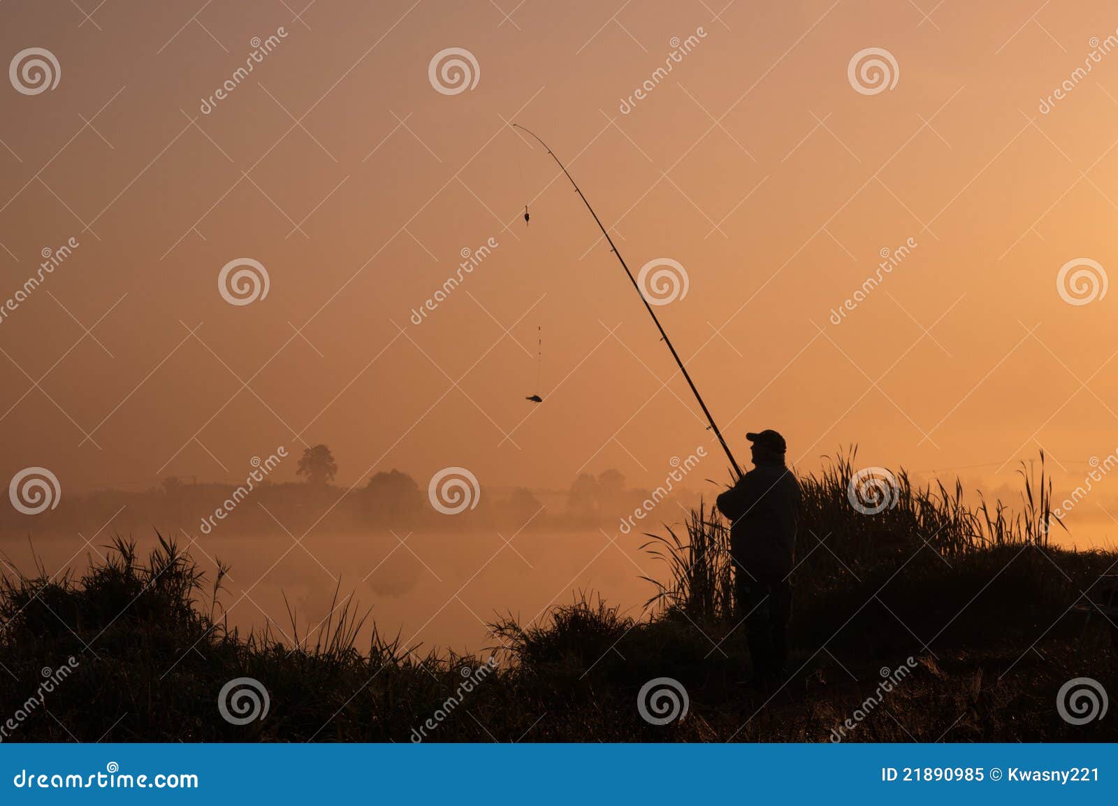 Autumn fishing stock image. Image of plants, fishingpole - 21890985