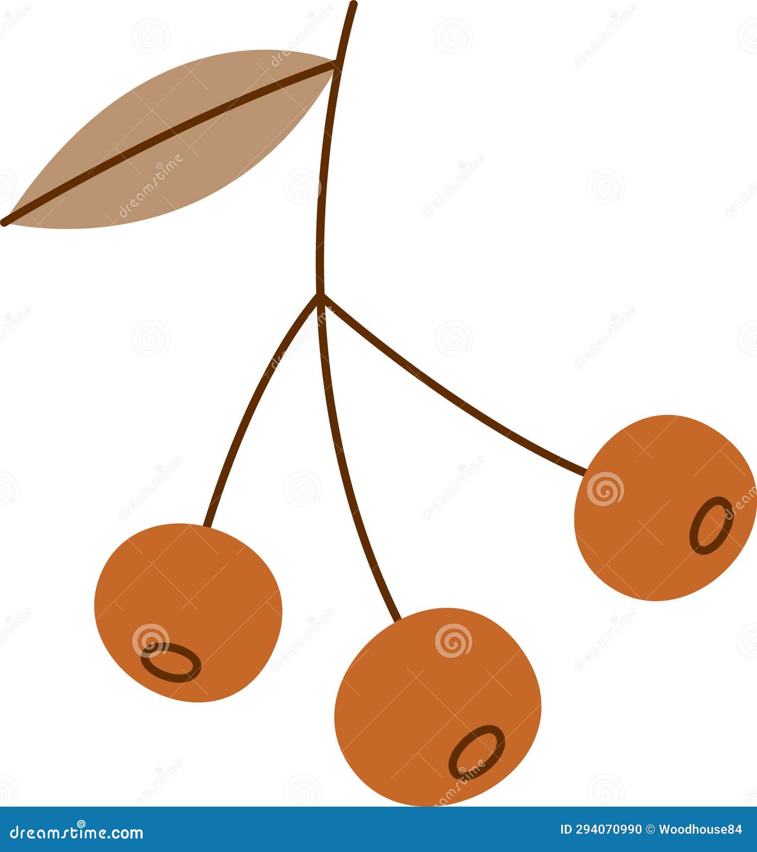 Autumn Flat Berry Foliage stock vector. Illustration of plant - 294070990