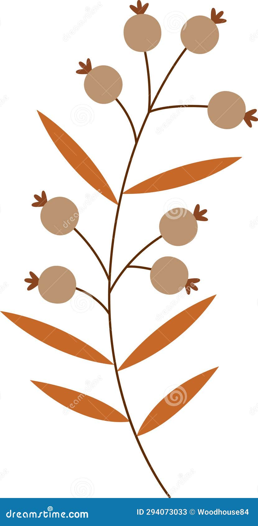 Autumn Flat Berry Foliage stock vector. Illustration of cranberry ...