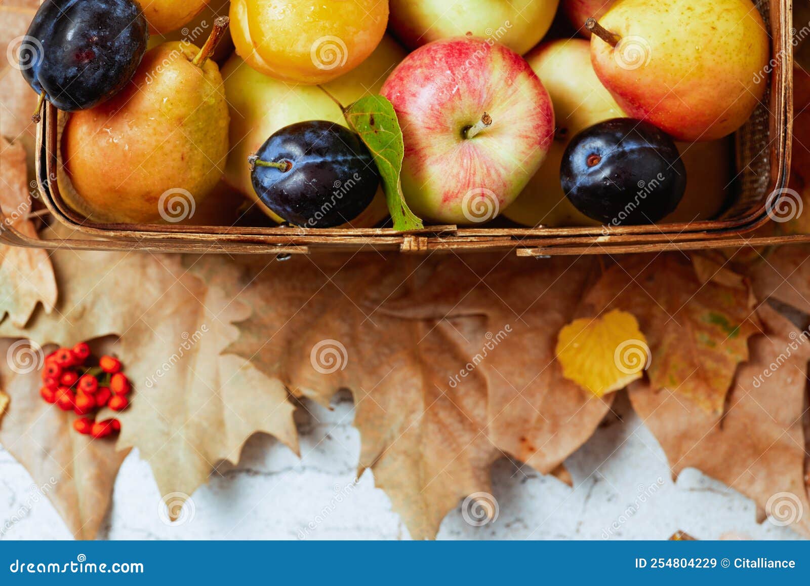 Autumn Flat Lay with Apples, Pears, Plums, Leaves and Basket Stock ...