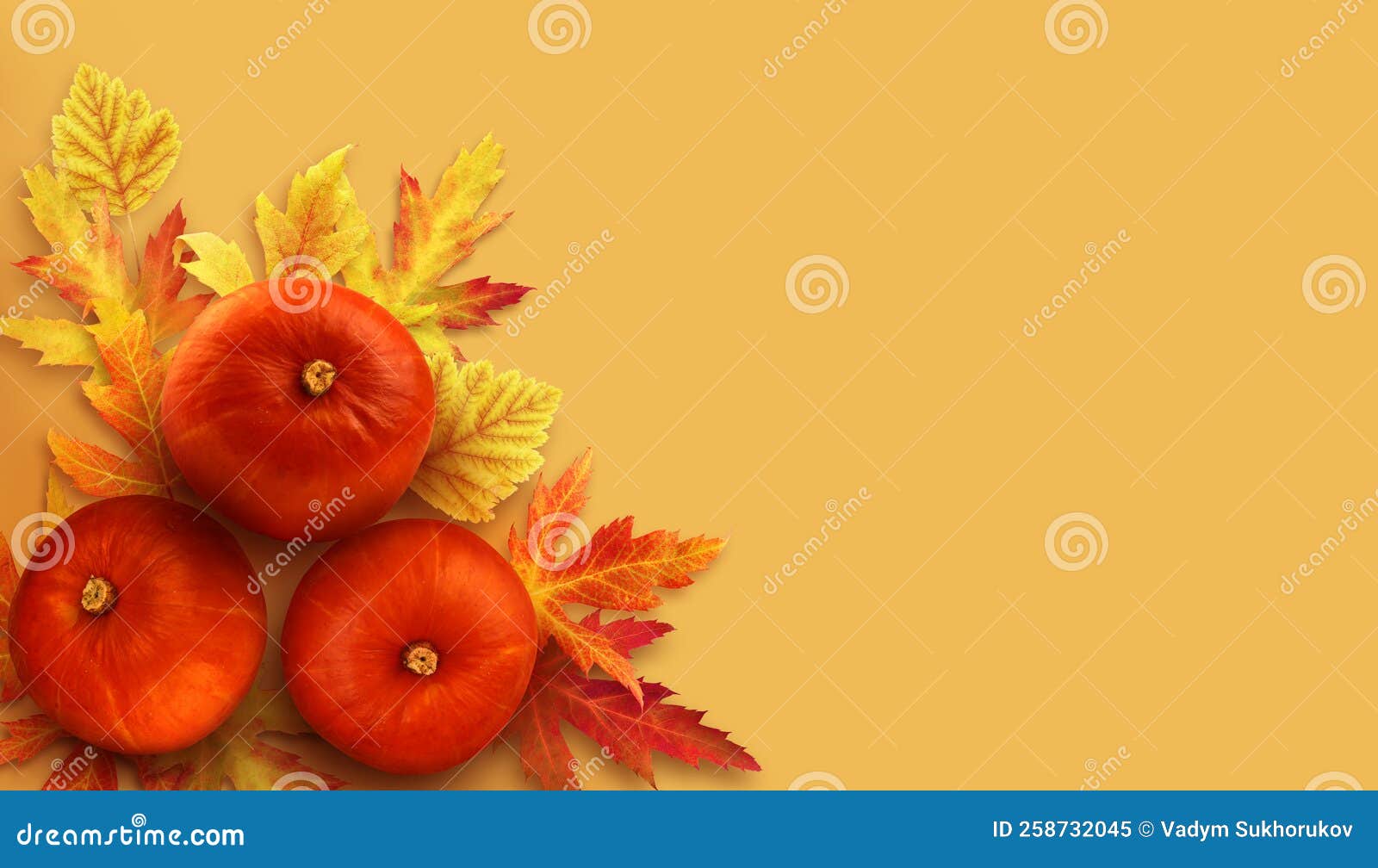 Autumn Flat Lay Composition with Three Pumpkins and Fallen Leaves ...