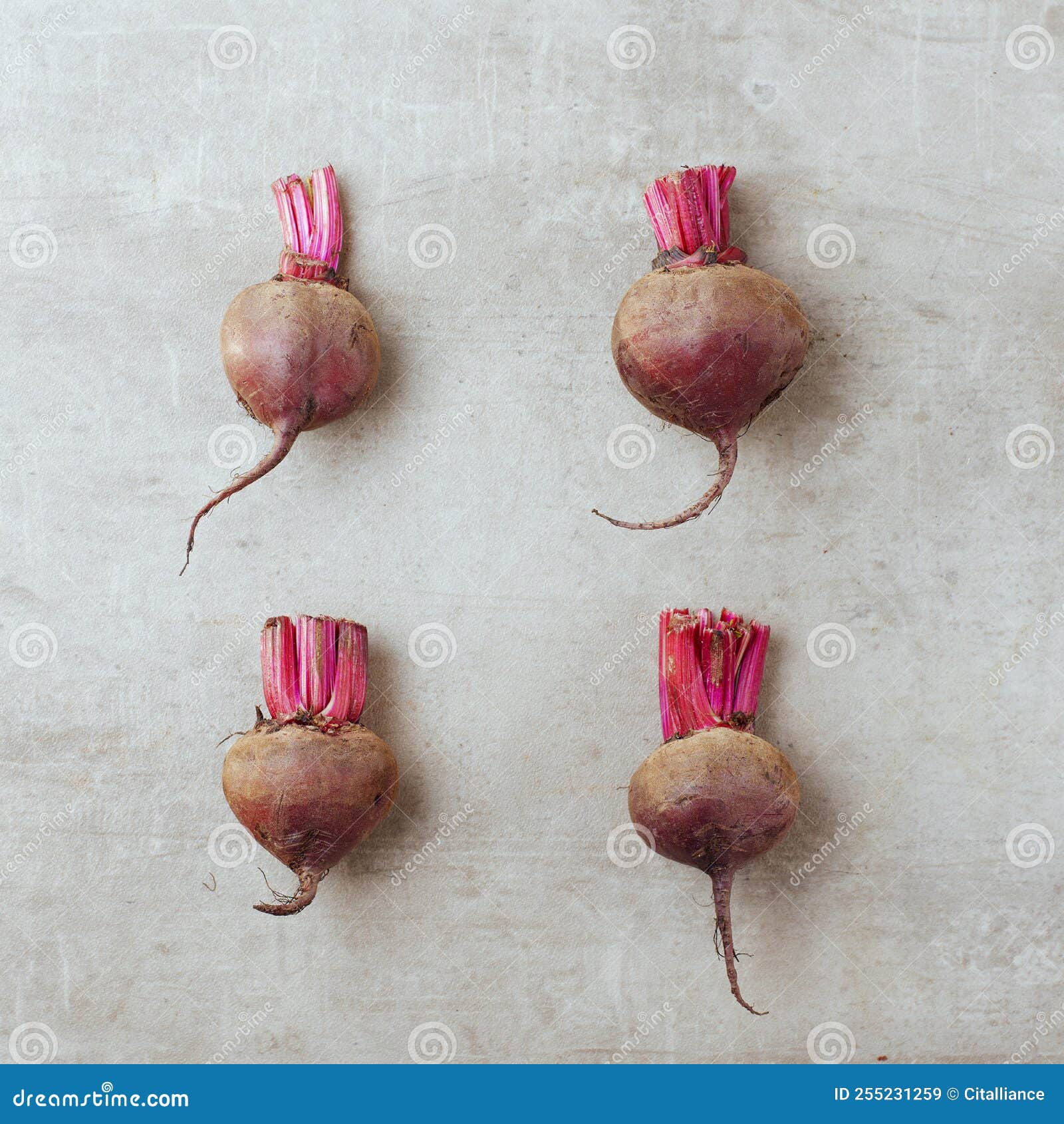Autumn Flat Lay on Concrete Background with Beetroot Stock Image ...