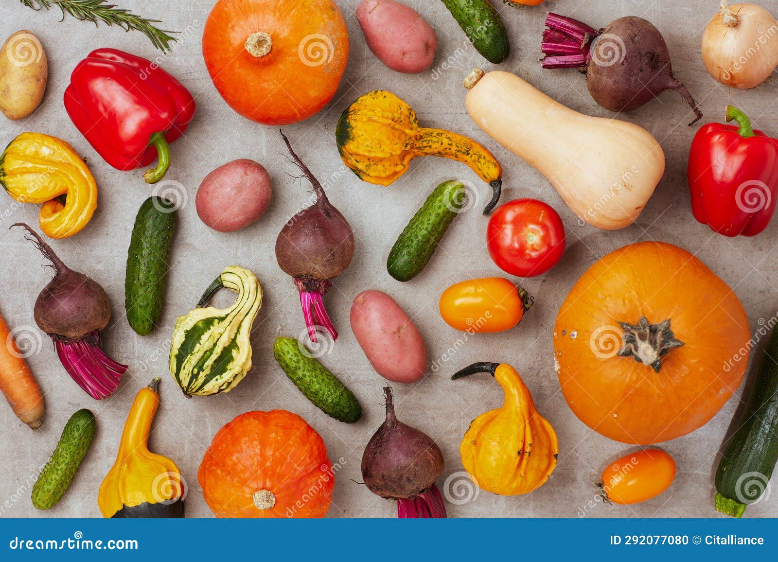 Autumn Flat Lay on Grey Background with Pumpkins Stock Photo - Image of ...