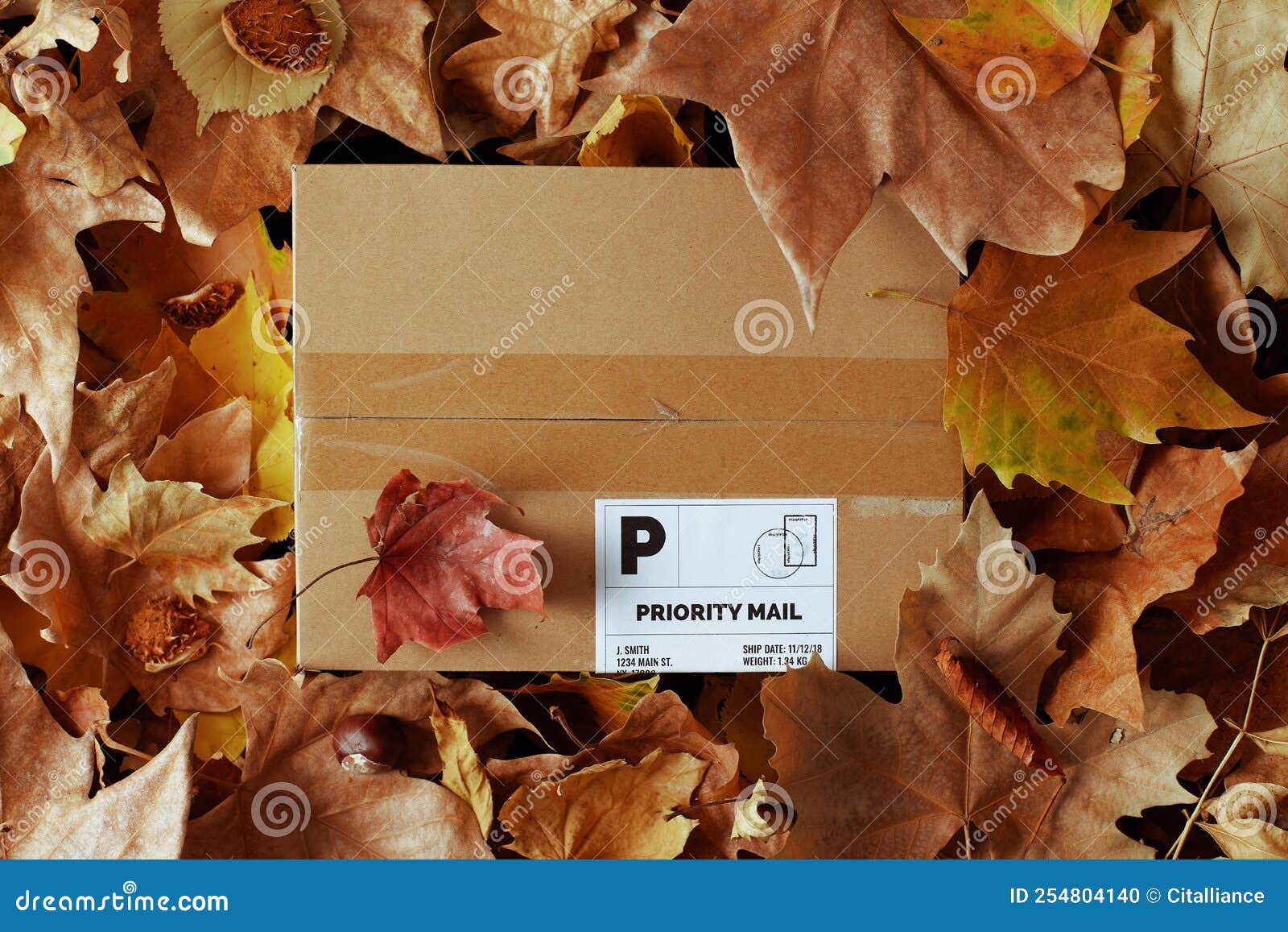 Autumn Flat Lay with Parcel and Leaves Stock Photo - Image of container ...