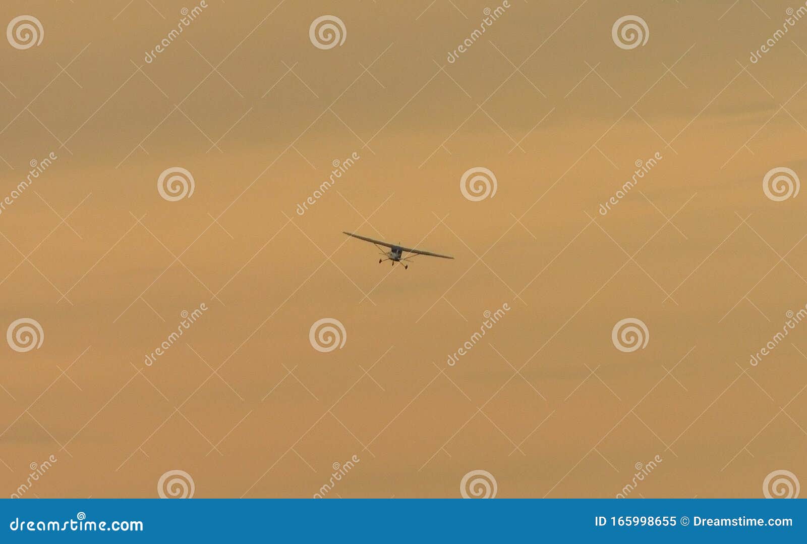 Autumn flight stock image. Image of travel, flight, autumn - 165998655