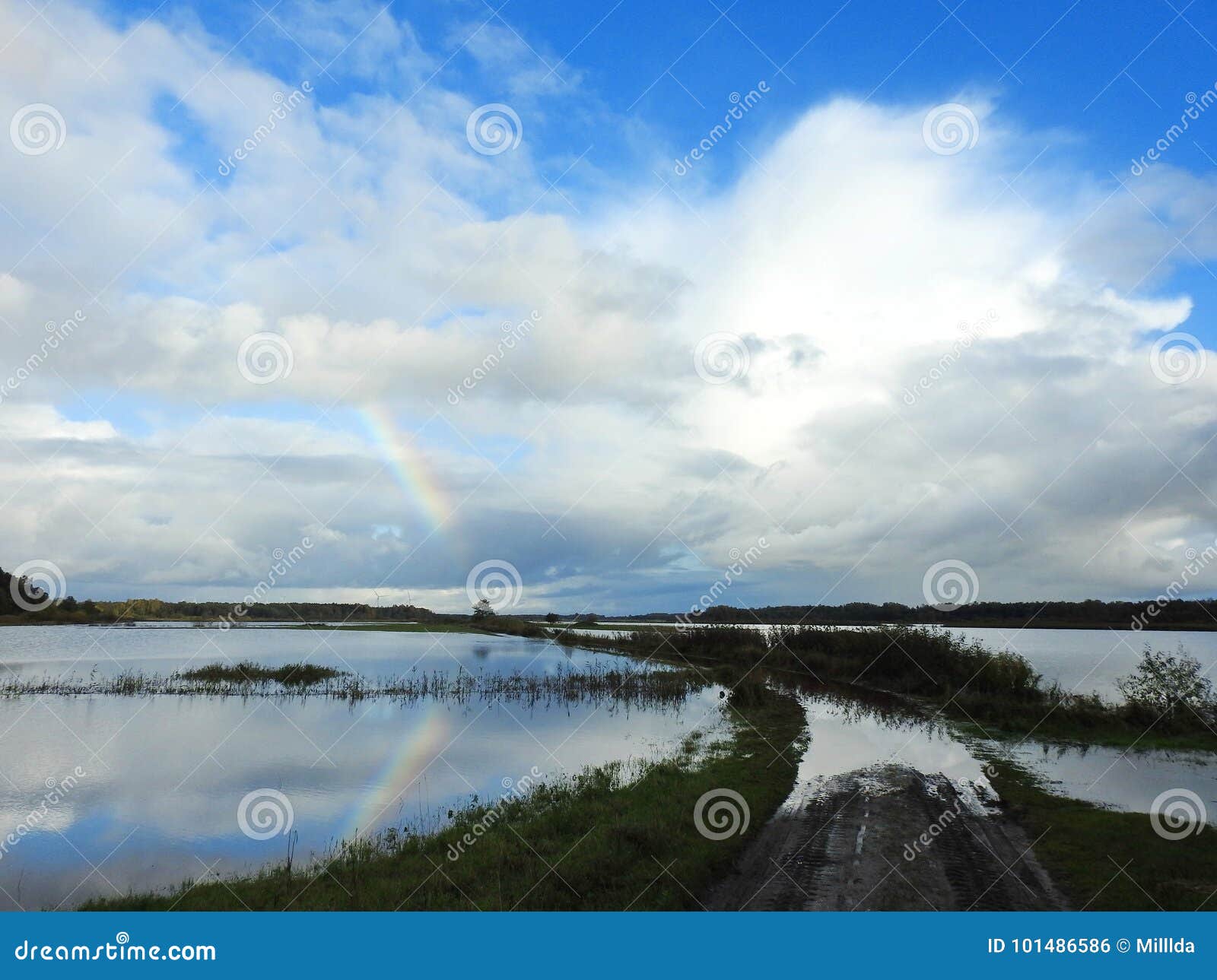 Autumn Flood after Rain, Lithuania Stock Photo - Image of fields ...
