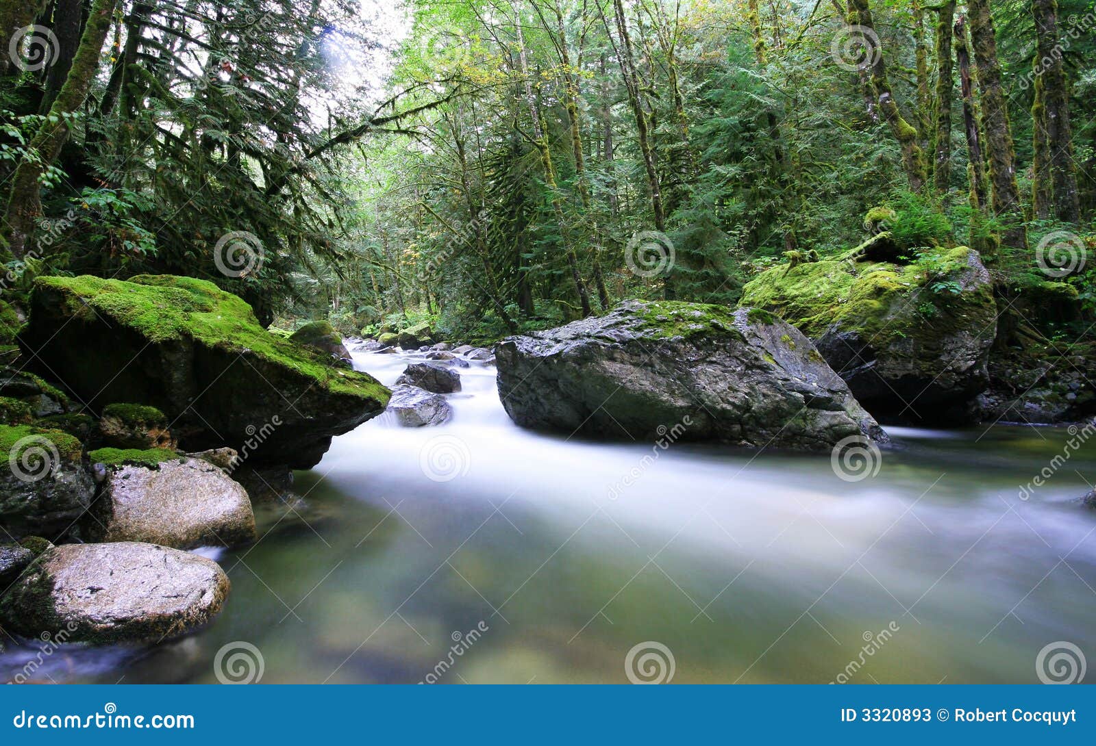 Autumn Flow stock image. Image of outdoor, park, creek - 3320893