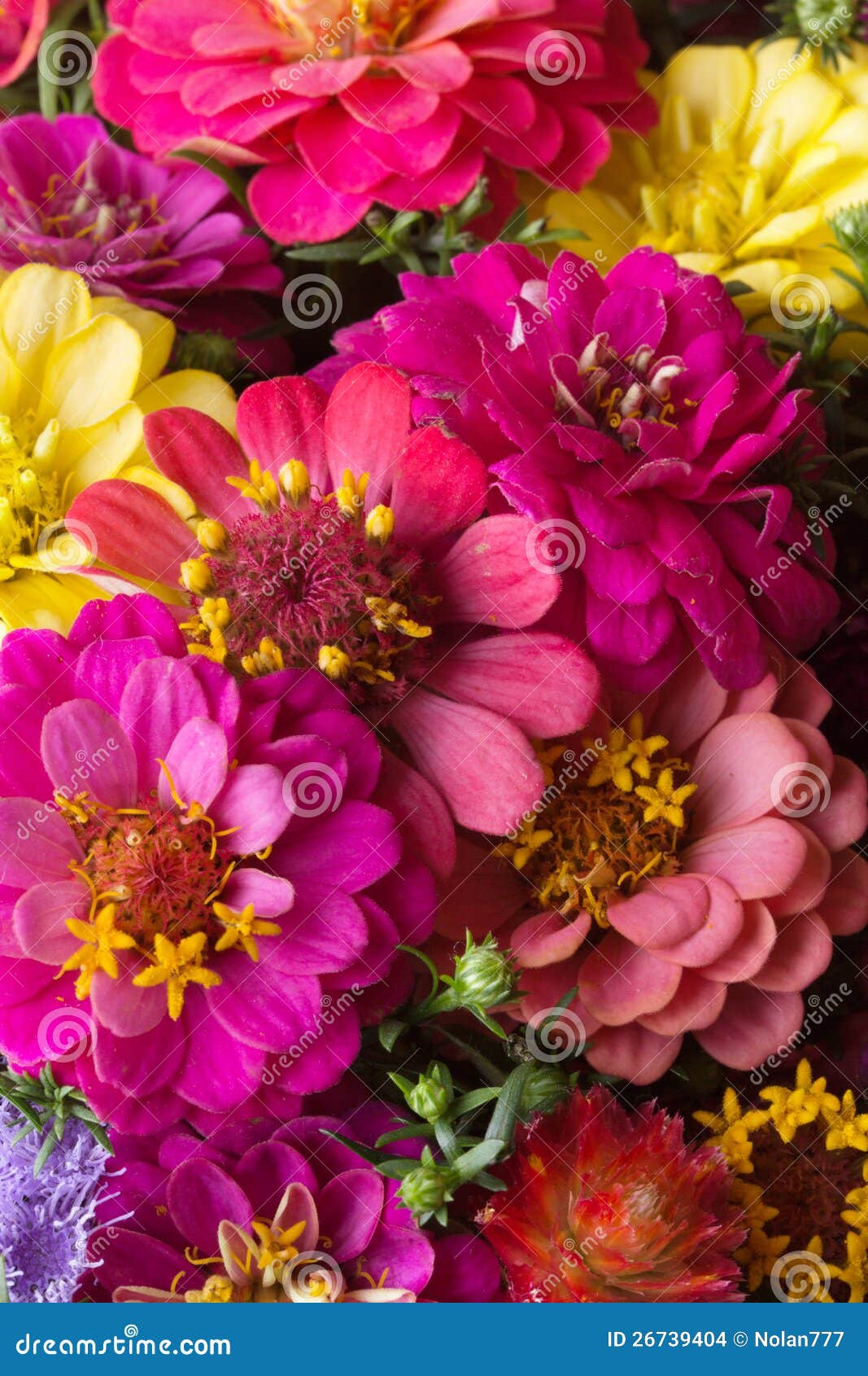 Autumn flowers stock photo. Image of bouquet, pattern - 26739404