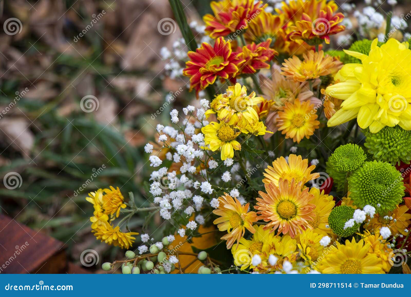 Autumn flowers bad stock photo. Image of outdoor, fall - 298711514