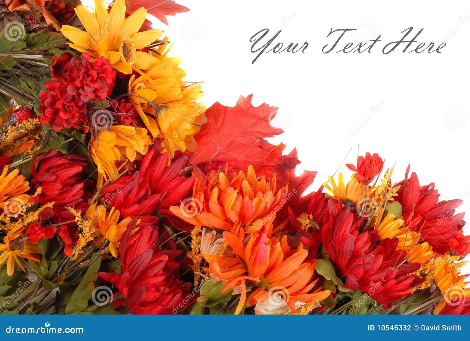 Autumn flowers border stock photo. Image of floral, leaves - 10545332