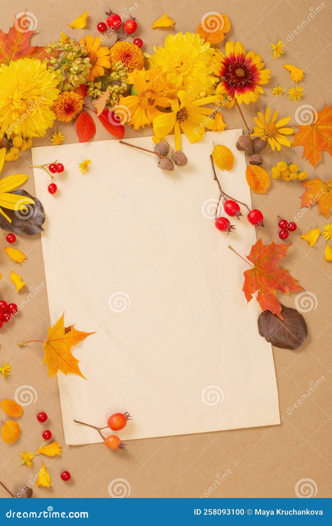 Flowers and Leaves on Paper Background Stock Photo - Image of flower ...
