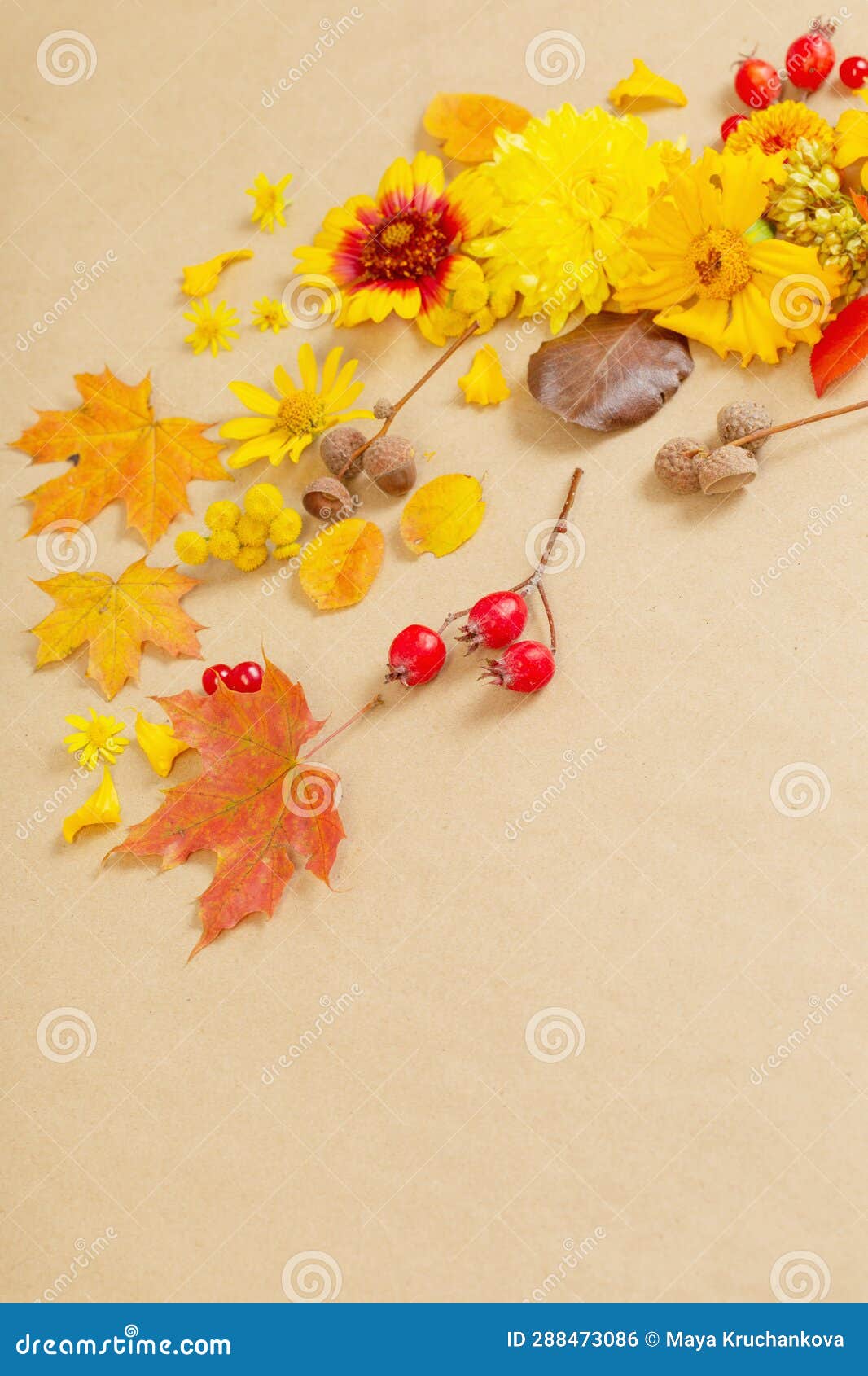 Autumn Flowers and Leaves on Paper Background Stock Photo - Image of ...