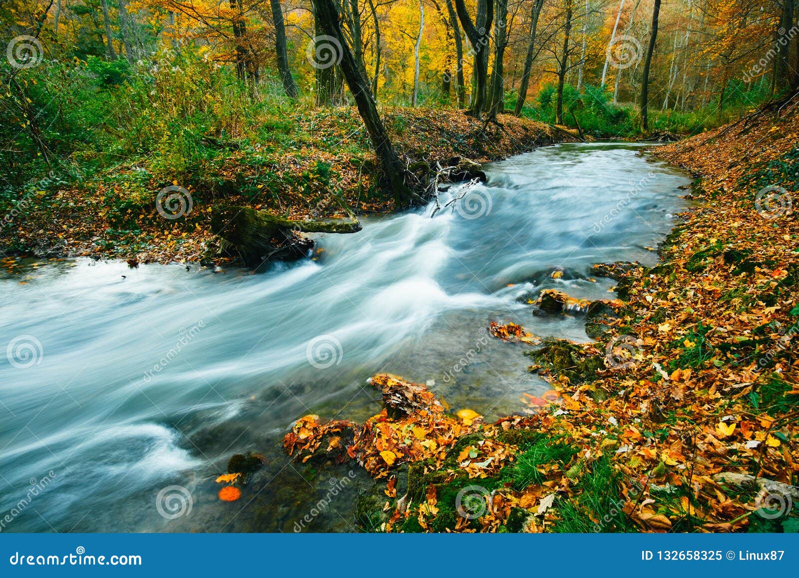Autumn flowing stream stock image. Image of fresh, outdoor - 132658325