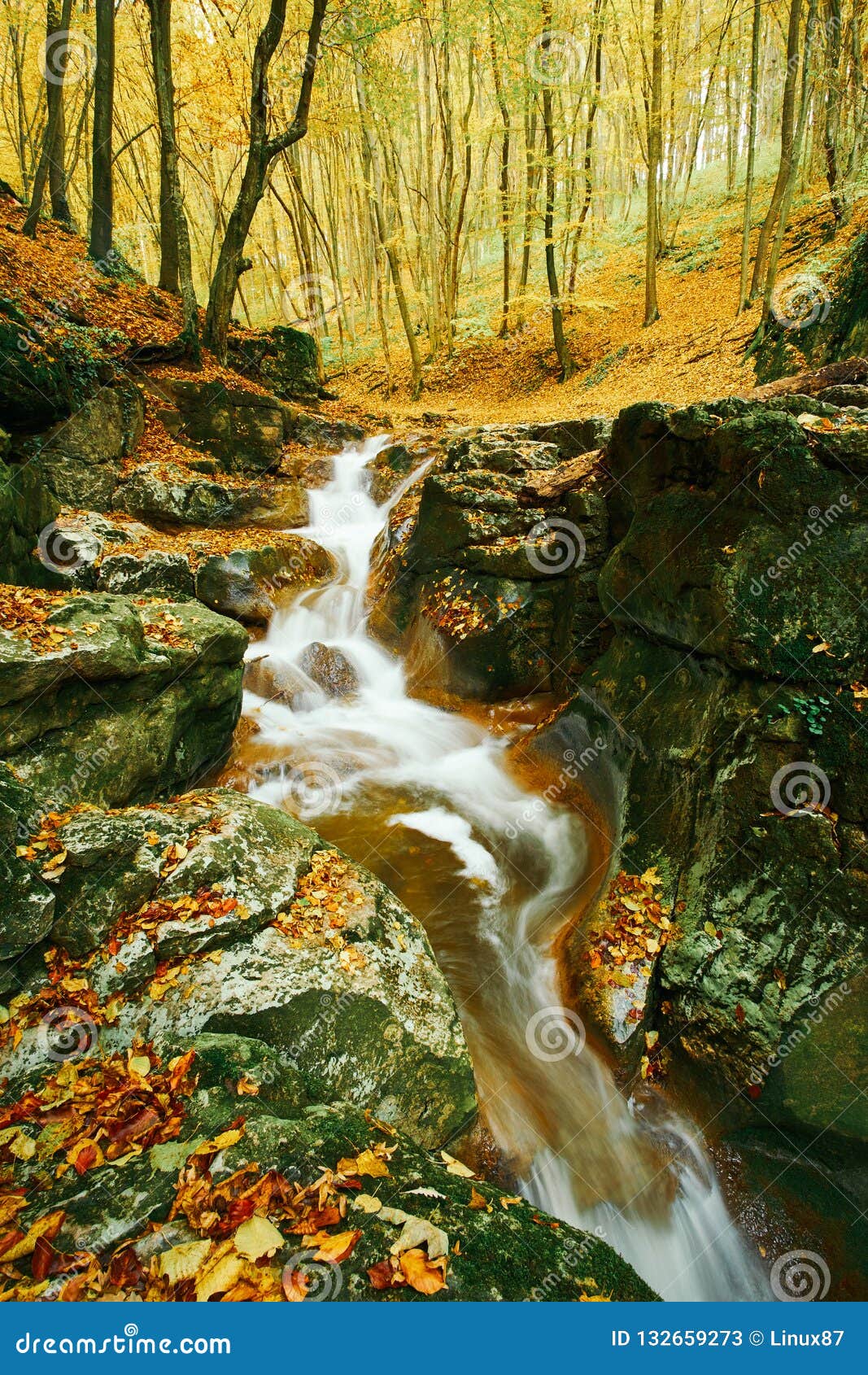 Autumn flowing stream stock image. Image of background - 132659273