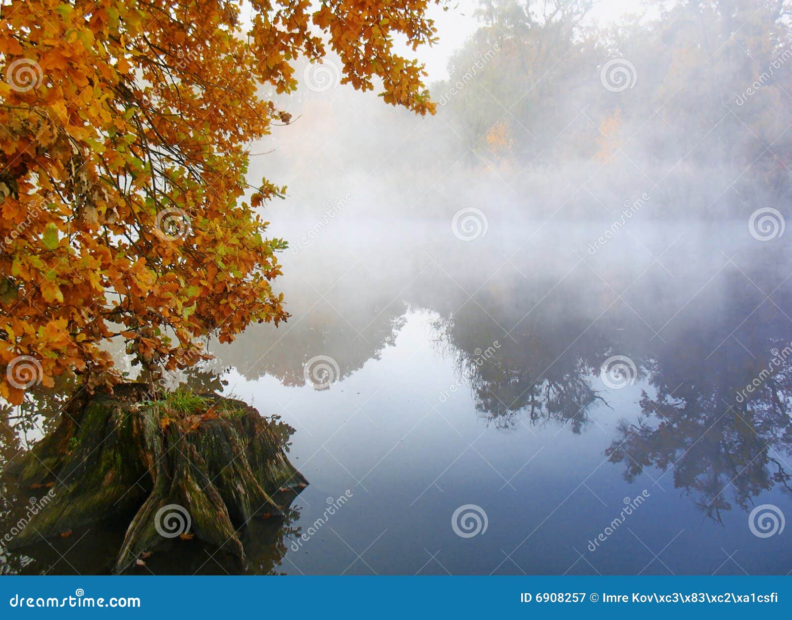 Autumn fog above the lake stock image. Image of coastal - 6908257