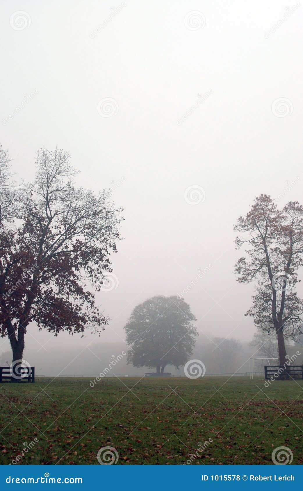 Autumn foggy scene stock photo. Image of grass, katonah - 1015578