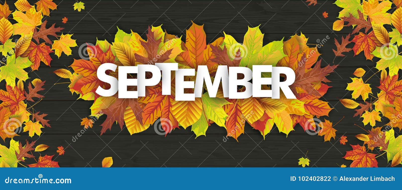 Autumn Foliage Centre September Wood Ilustración del Vector ...