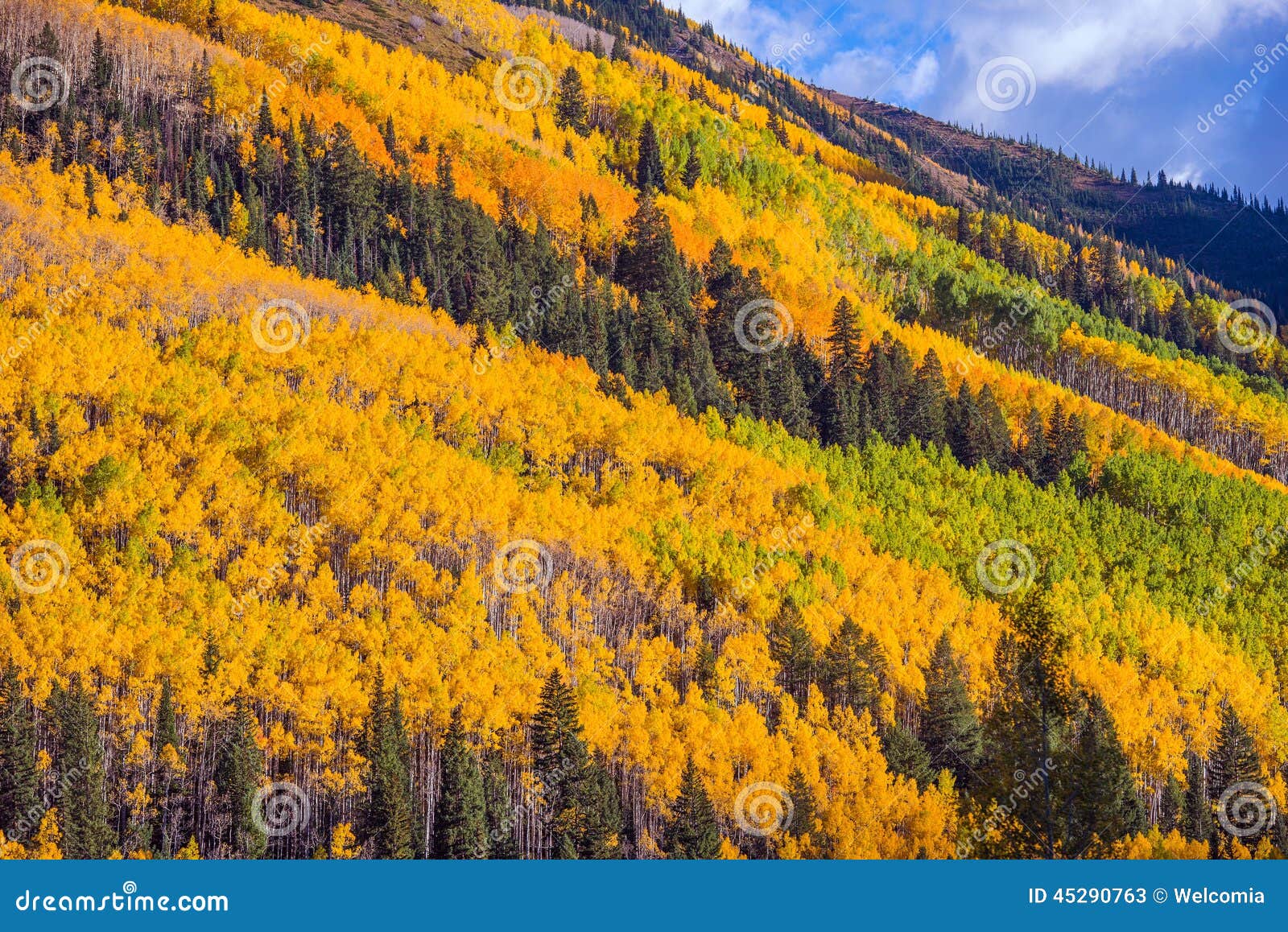 Autumn Foliage Colorado stock image. Image of destination - 45290763