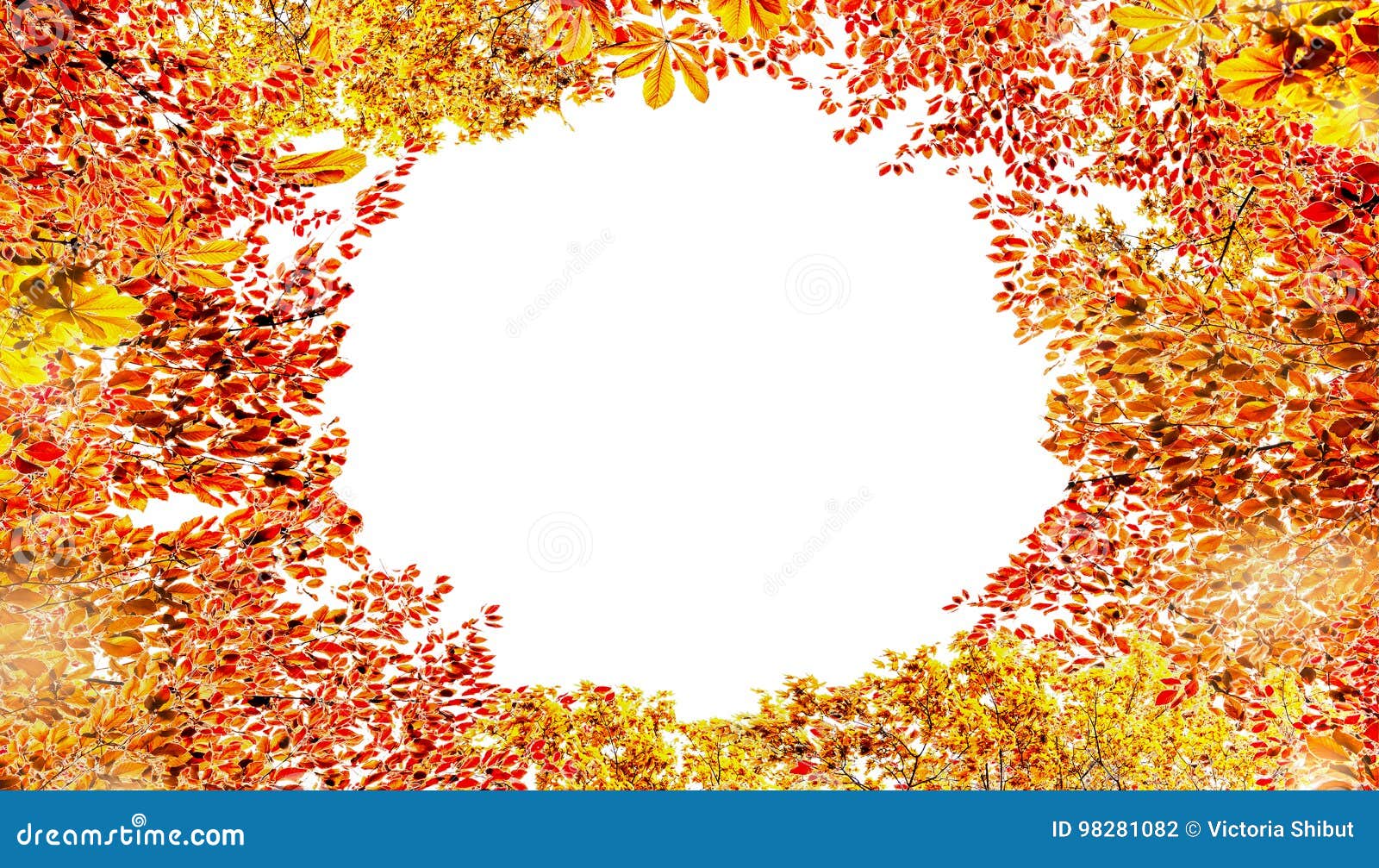 Autumn Foliage Frame , Isolated on White Background. Various Colorful ...