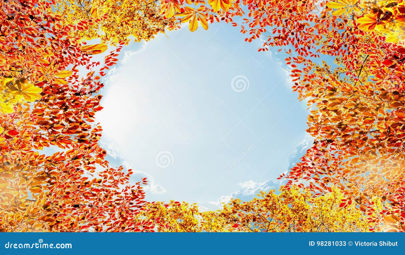 Autumn Foliage Frame at Sky Background, Various Colorful Fall Leaves ...