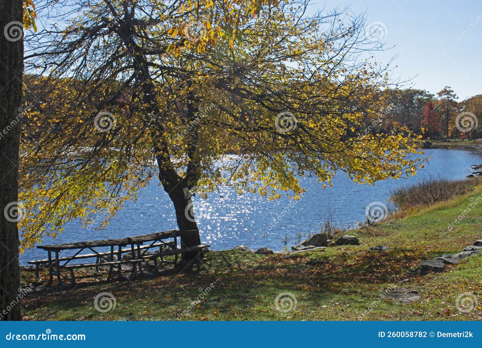Autumn Foliage at Lake Marcia -08 Stock Photo - Image of colors, black ...