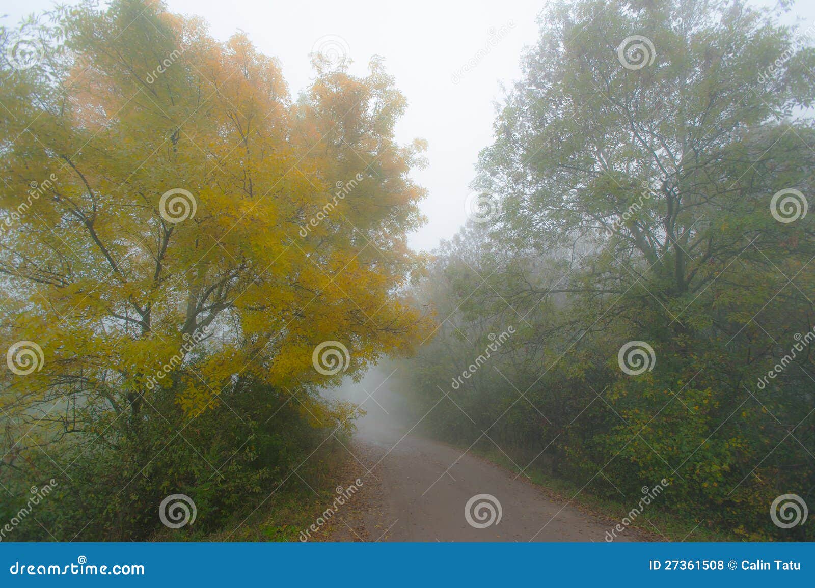 Autumn Foliage and Morning Mist in the Forest Stock Photo - Image of ...