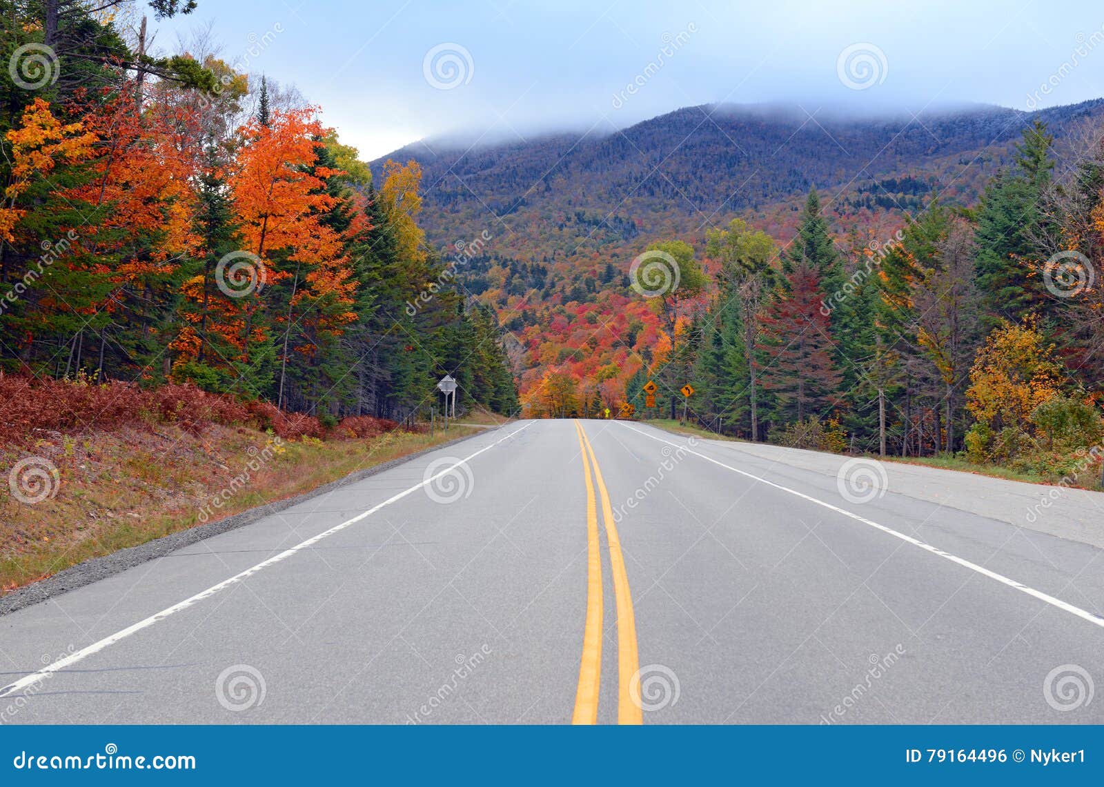 Autumn Foliage in a Northeast Forest Stock Photo - Image of ...