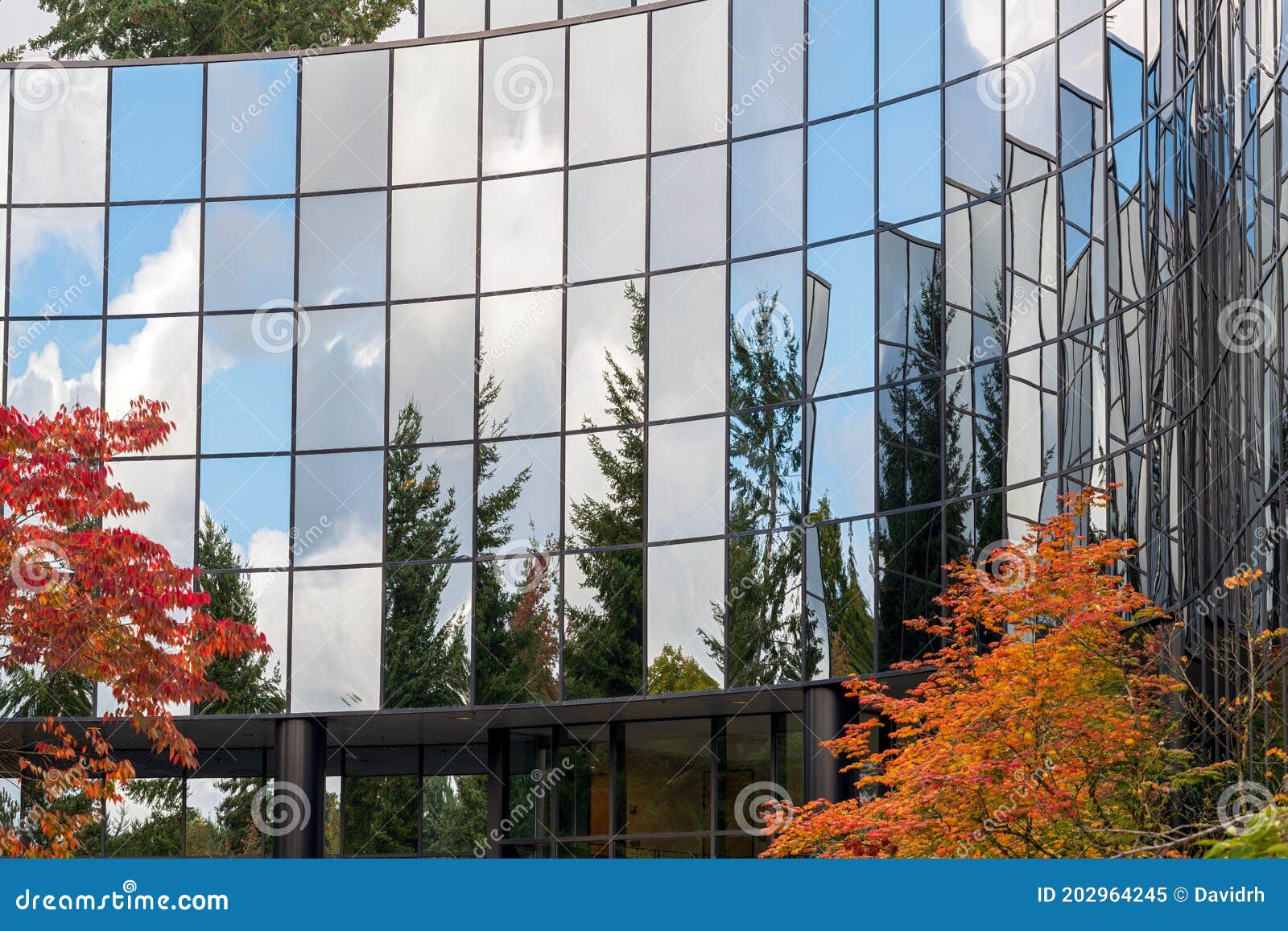 Autumn Foliage Reflected in the Windows of an Office Building Stock ...