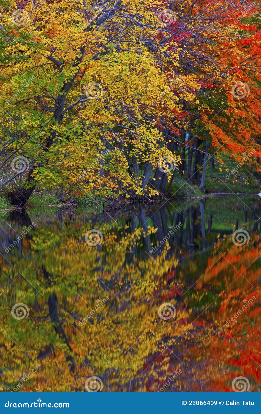 Autumn Foliage Reflection in Lake Stock Image - Image of scenery ...