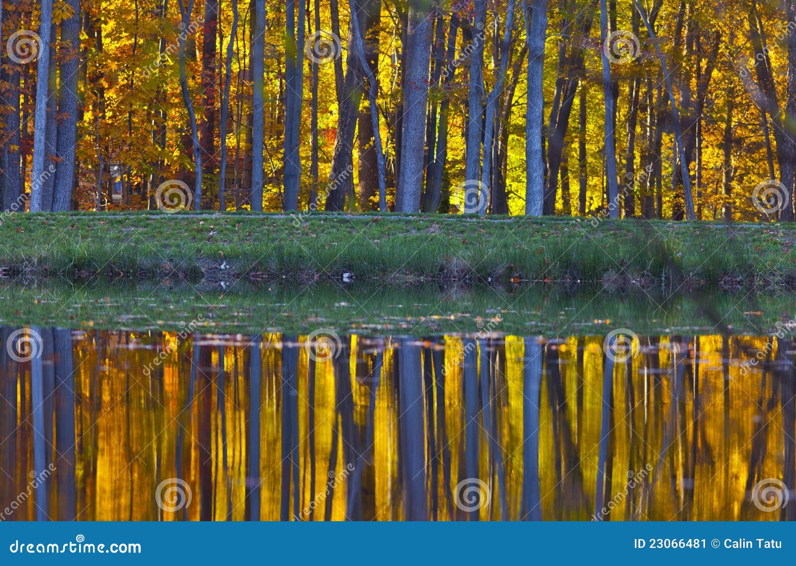 Autumn Foliage Reflection in Lake Stock Image - Image of forest, maple ...