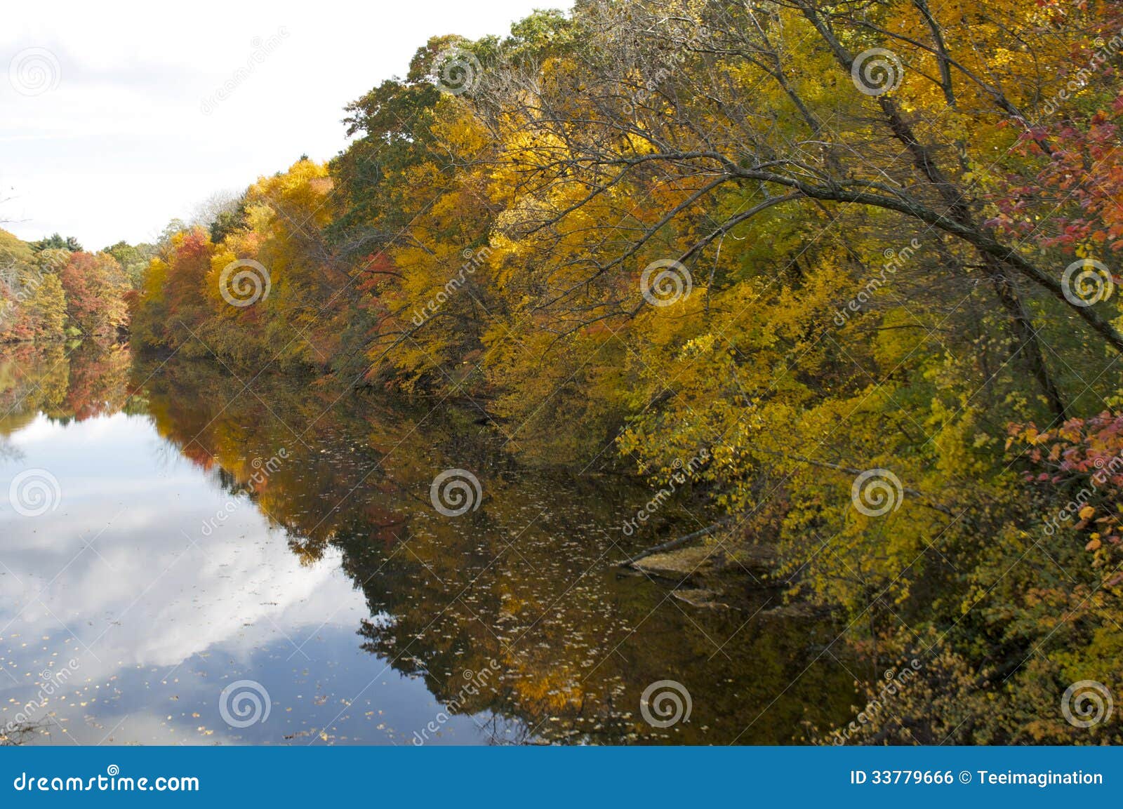 Autumn Foliage by the River Stock Photo - Image of autumn, outdoor ...