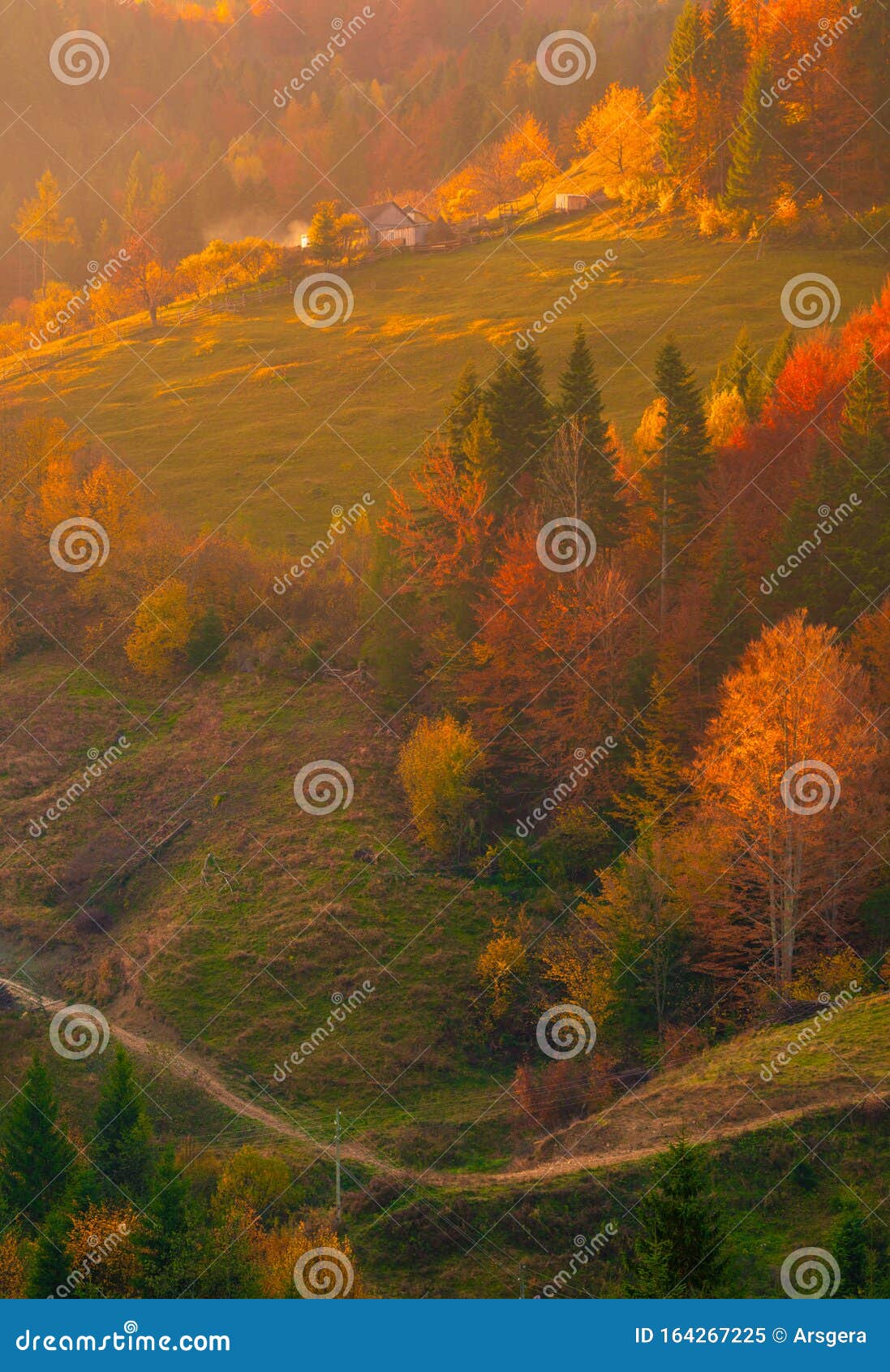 Autumn Foliage Trees in the Mountains Meadow with Haystack Stock Image ...