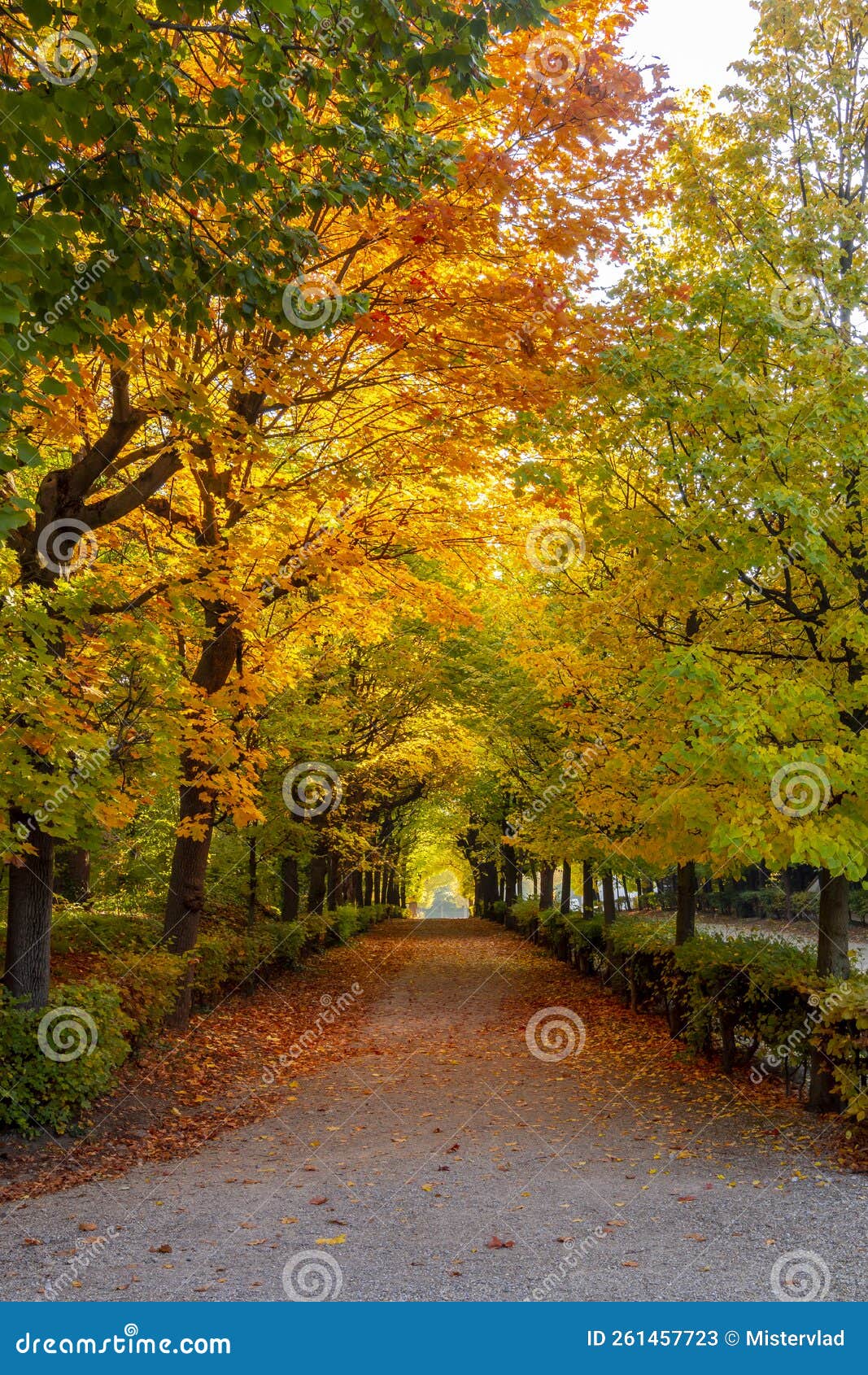 Autumn Foliage in Vienna Park, Austria Stock Image - Image of historic ...