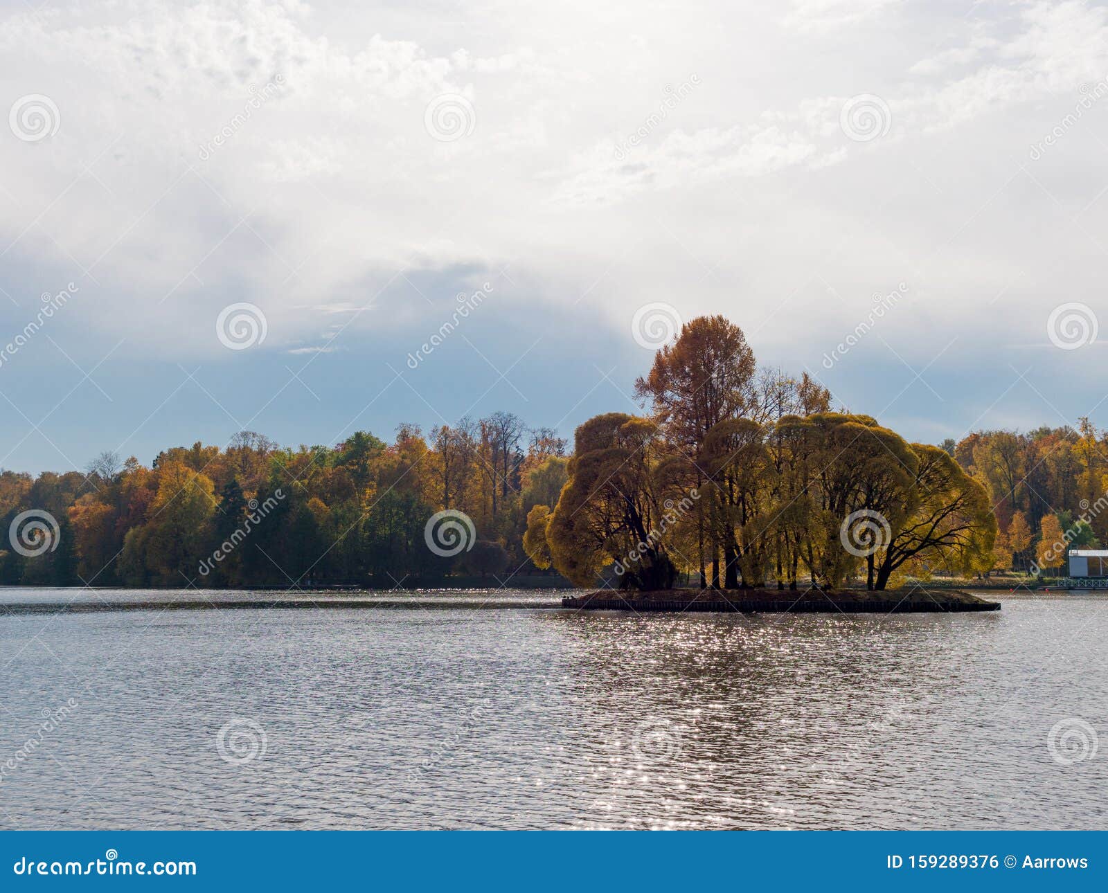 Autumn Foliage with Water Reflection Natural Landscape Stock Photo ...