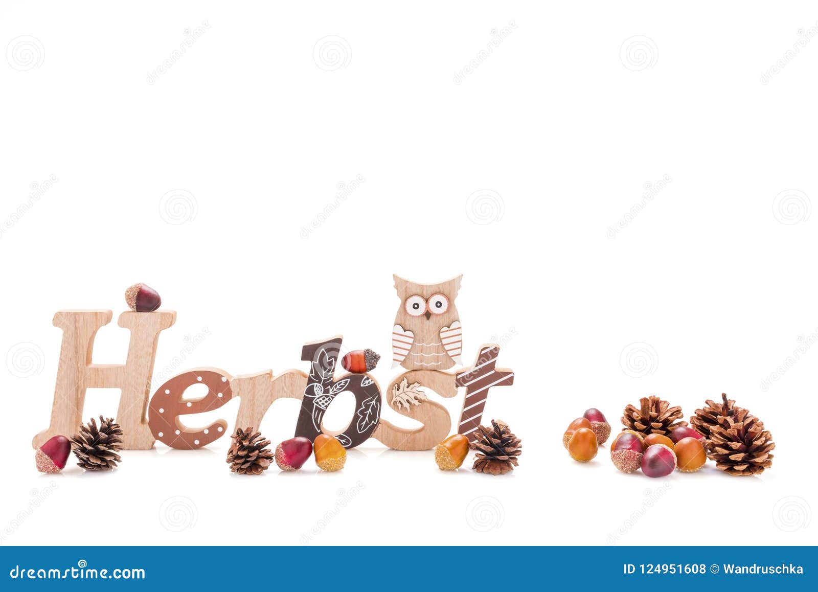 Autumn Font and Owl with Acorns and Pine Cones Stock Photo - Image of ...