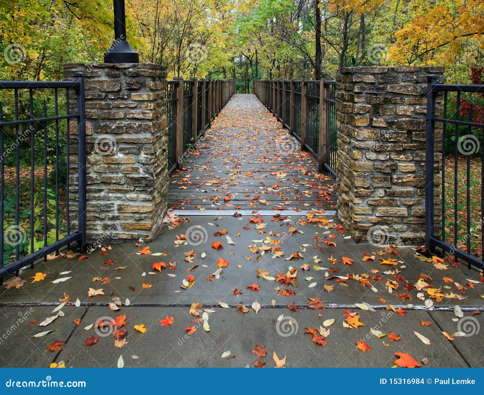 Autumn Foot Bridge stock photo. Image of calming, railing - 15316984