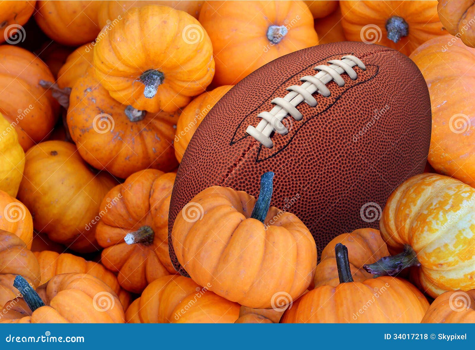 Autumn Football ilustração stock. Ilustração de faculdade - 34017218