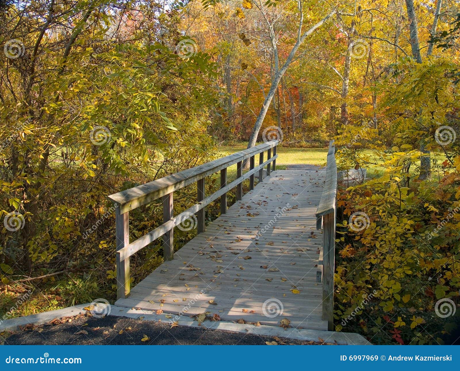 Autumn Footbridge stock image. Image of autumn, leaves - 6997969