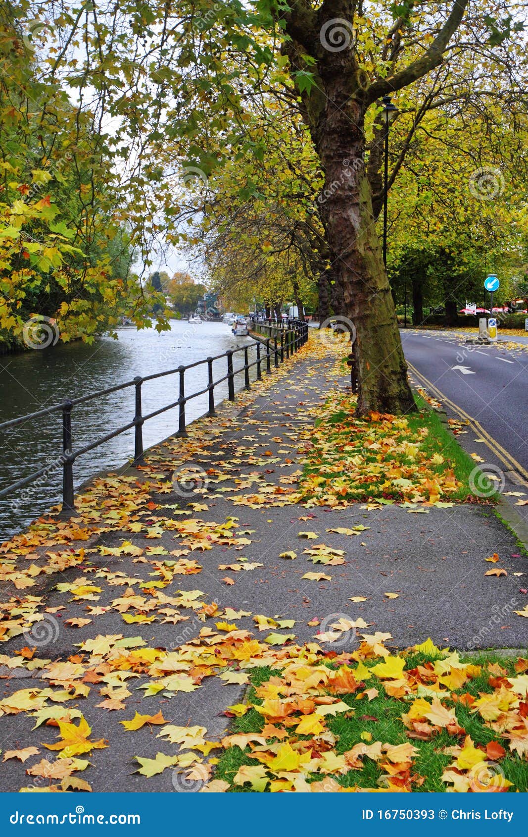 Autumn on a Footpath by the River Thames Stock Image - Image of trees ...
