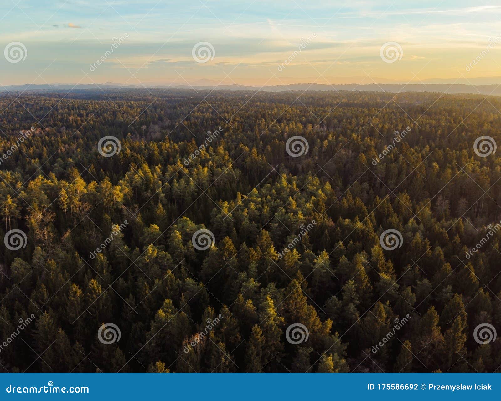 Autumn Forest Aerial View from Above Stock Photo - Image of forest ...